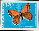 Stamp: Lesser Fiery Copper (Thersamonia thersamon) (Hungary(Butterflies ...