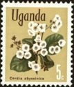 Stamp: East African cordia (Cordia abyssinica) (Uganda(Native Flora) Mi ...