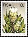 Stamp: Forest Sugarbush (Protea mundii) (South Africa(Proteas and Other ...