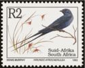 Stamp: Blue Swallow (Hirundo atrocaerulea) - Latin (South Africa ...