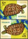 Stamp: Greek Tortoise (Testudo graeca ibera) (Romania(Turtles and ...